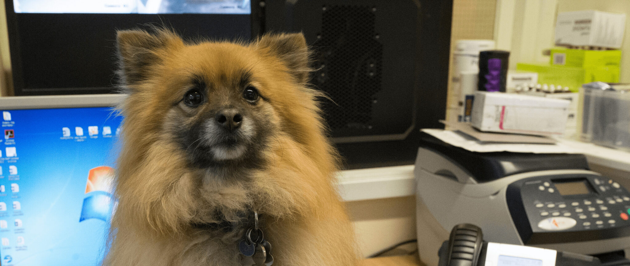 Contact Us - St James Veterinary Group