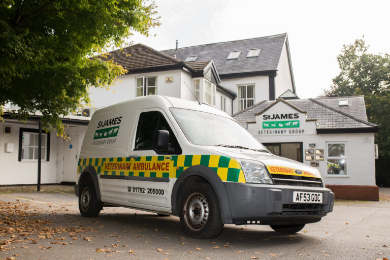 Practice Information - St James Veterinary Group