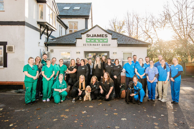 Meet The Team - St James Veterinary Group