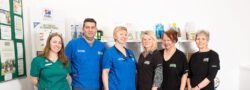 Vets Neath | St James Veterinary Group